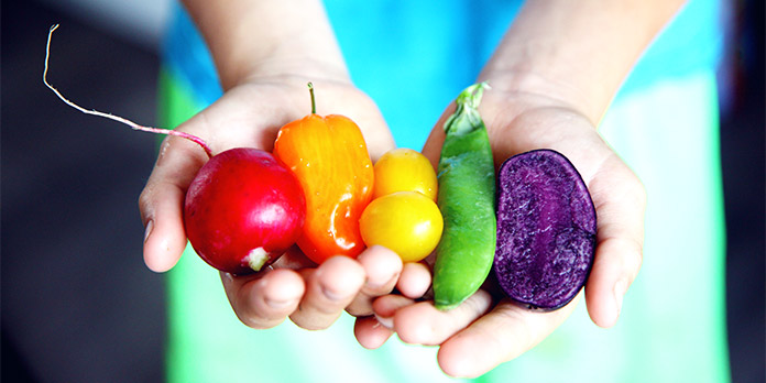 Diferencias Entre Alimentos Biológicos, Orgánicos y Ecológicos