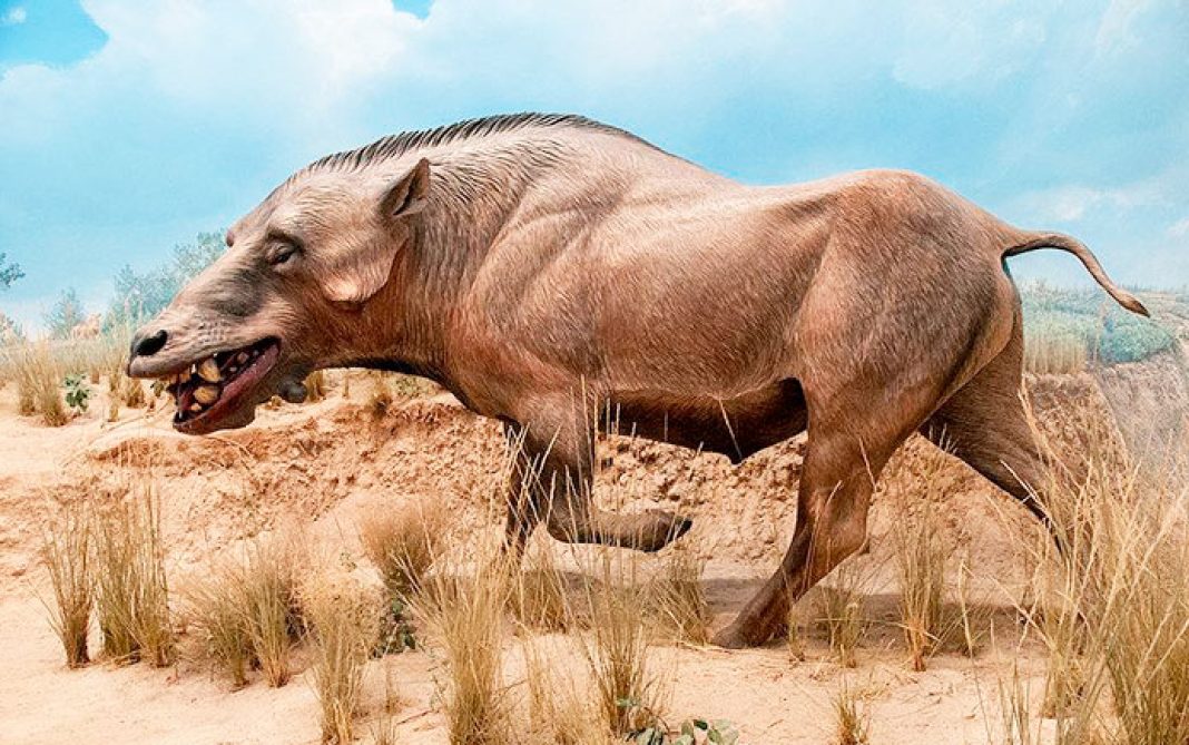 Animales de la prehistoria extintos y vivos | Cinco Noticias