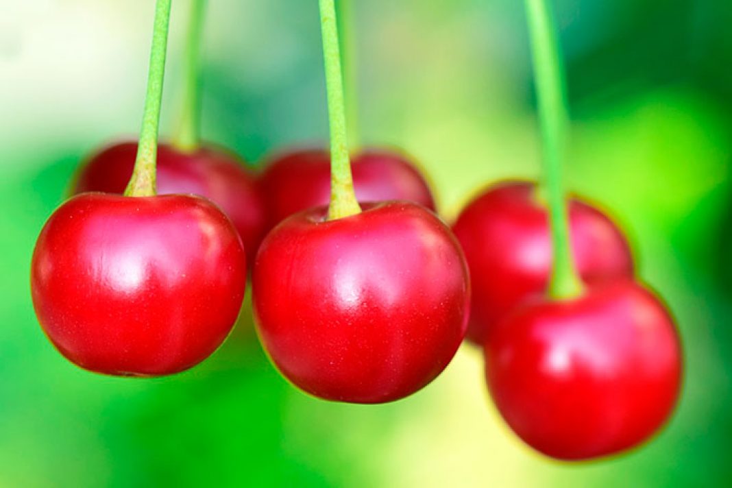 ¿Para qué sirve el incienso? Tipos, significado y usos | Cinco Noticias