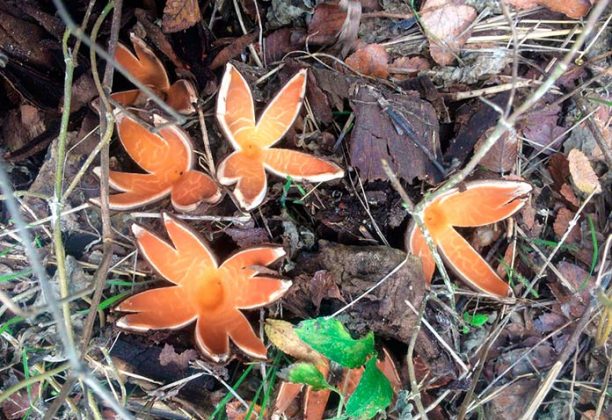 10 fenómenos inexplicables para la ciencia | Cinco Noticias