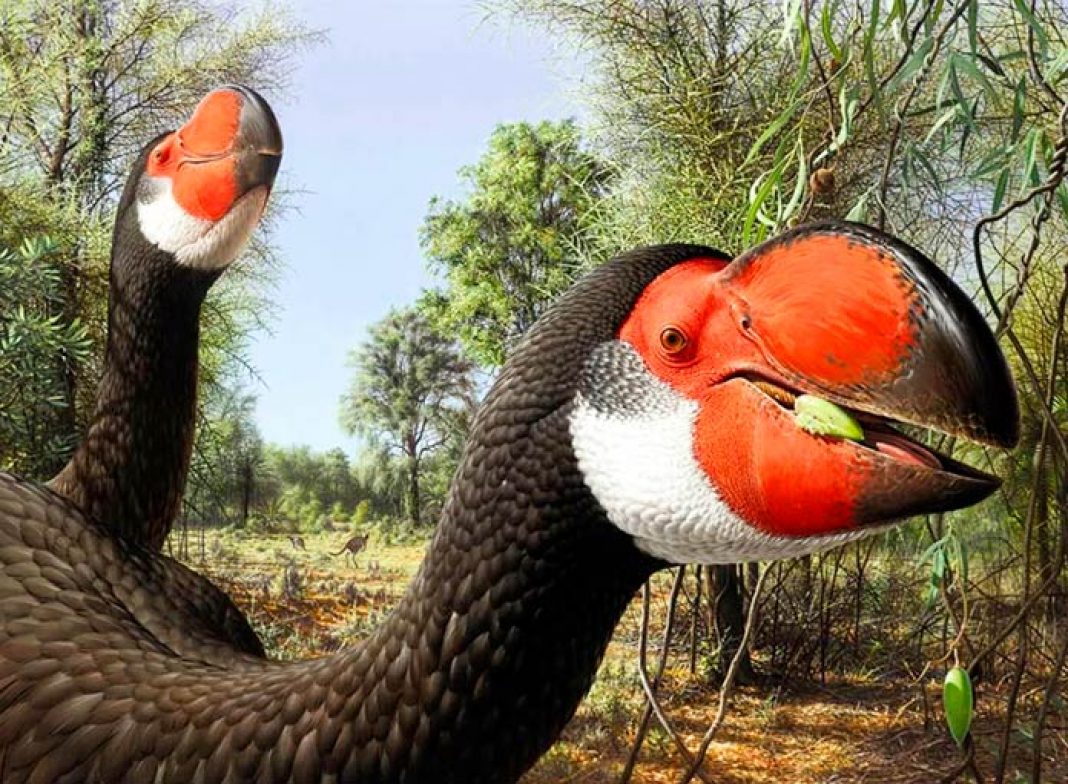 Animales de la prehistoria extintos y vivos | Cinco Noticias