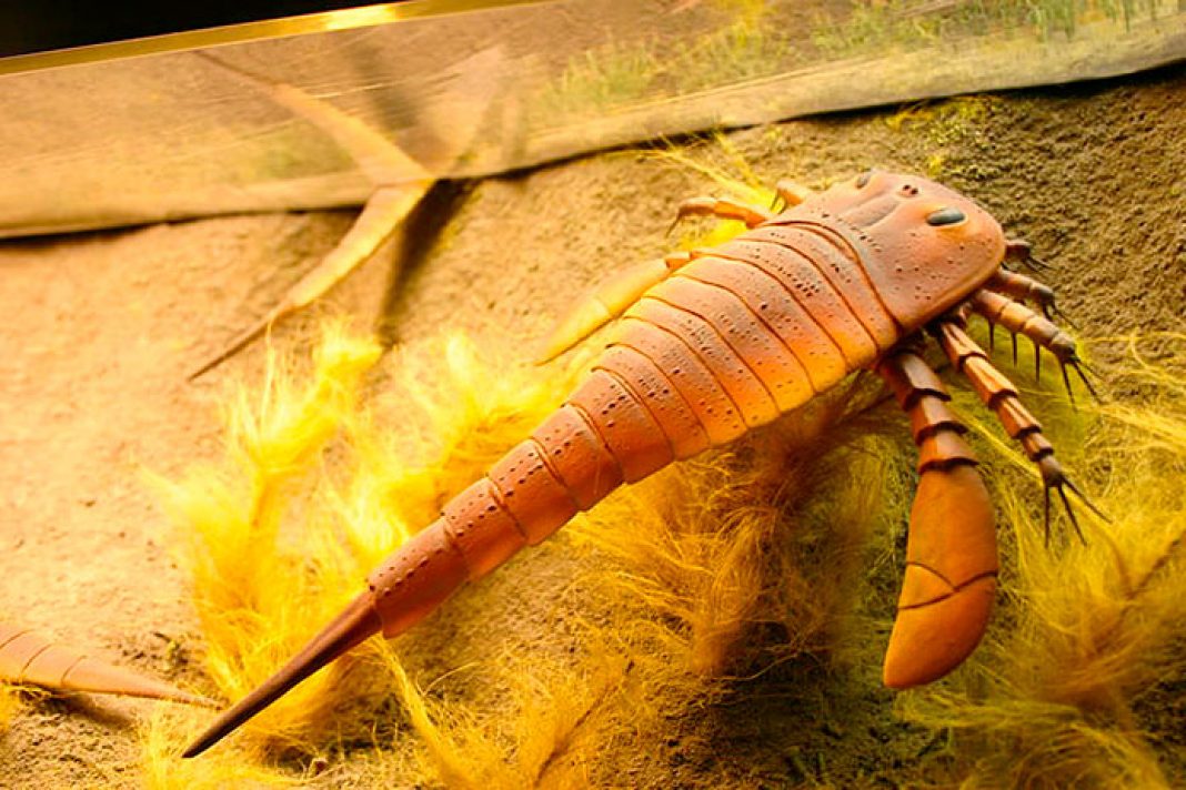 Animales de la prehistoria extintos y vivos | Cinco Noticias