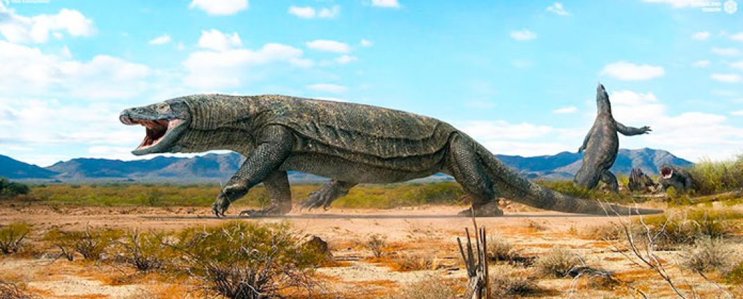 Animales de la prehistoria extintos y vivos | Cinco Noticias