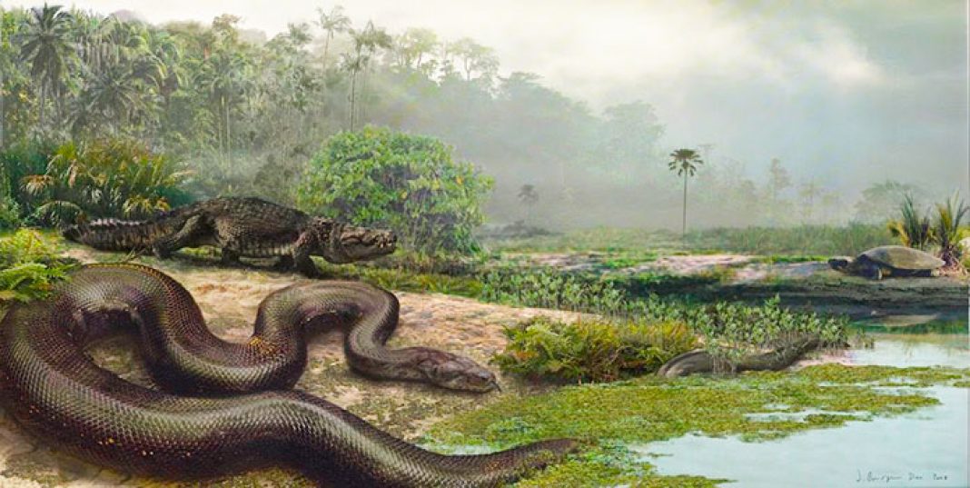 Animales de la prehistoria extintos y vivos | Cinco Noticias