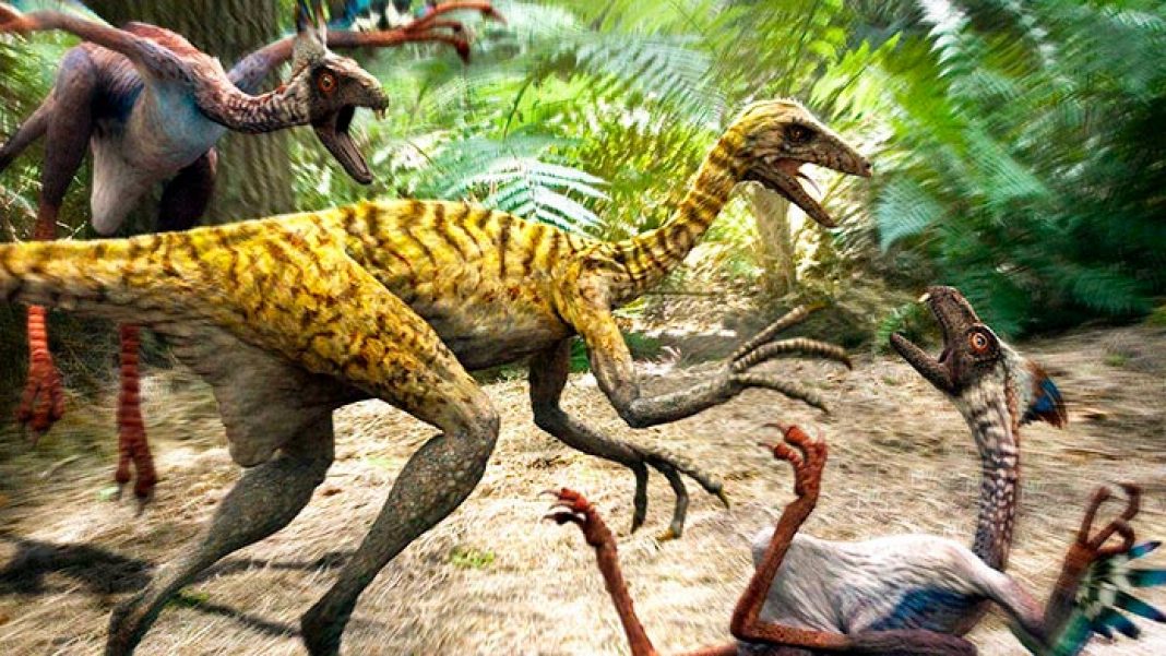 Animales de la prehistoria extintos y vivos | Cinco Noticias