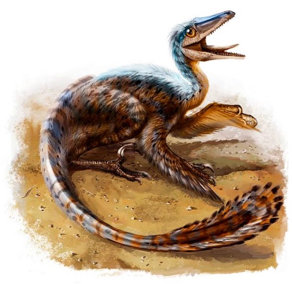 Animales de la prehistoria extintos y vivos | Cinco Noticias