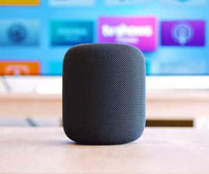 Mejor Asistente Virtual 2024 » ¿Quién es el Más Inteligente?