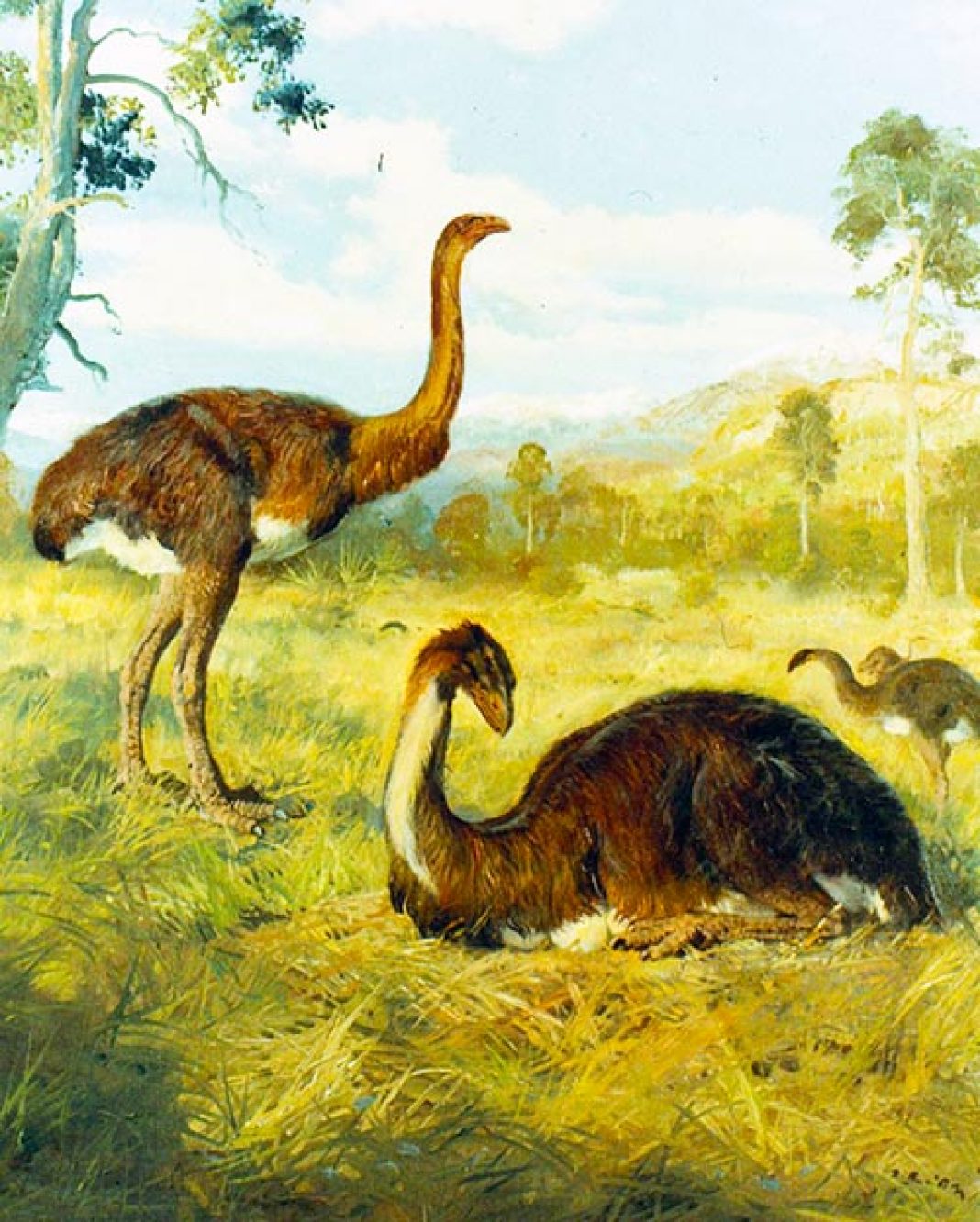 Animales de la prehistoria extintos y vivos | Cinco Noticias