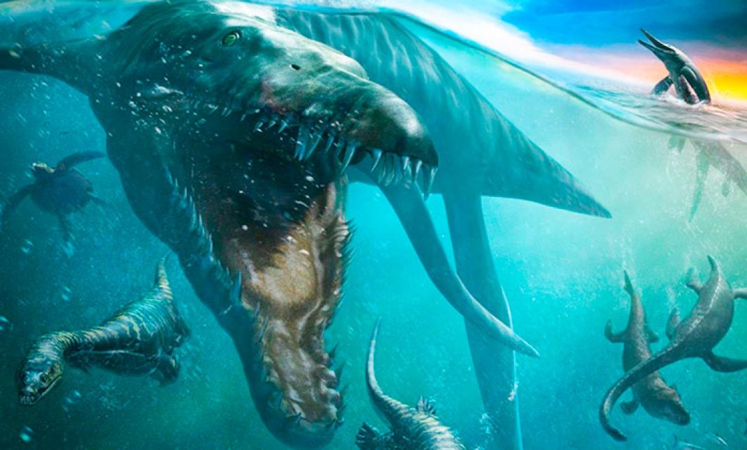 Animales de la prehistoria extintos y vivos | Cinco Noticias