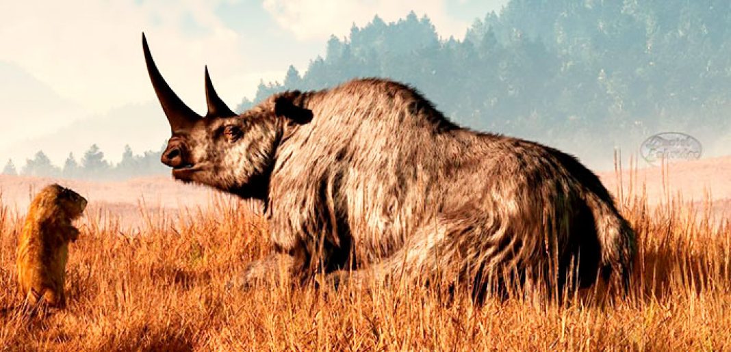 Animales de la prehistoria extintos y vivos | Cinco Noticias