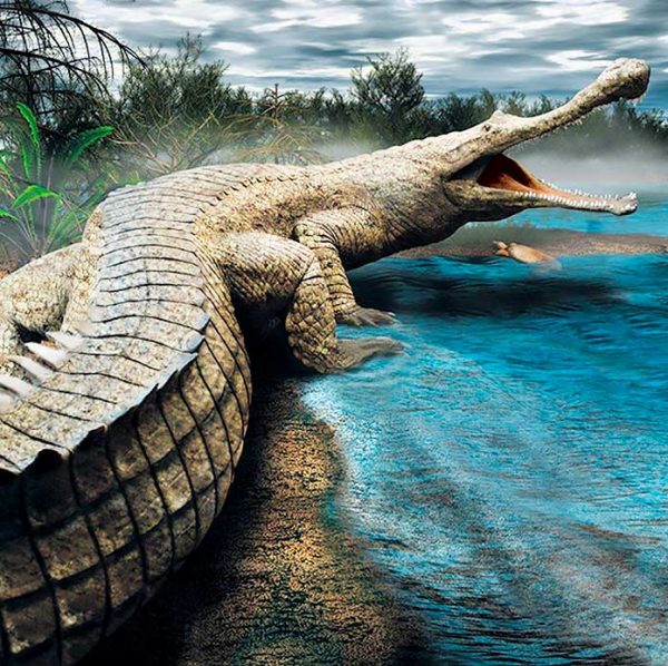 Animales de la prehistoria extintos y vivos | Cinco Noticias