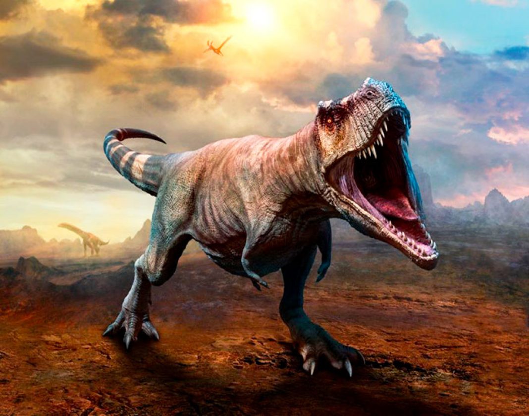 Animales de la prehistoria extintos y vivos | Cinco Noticias