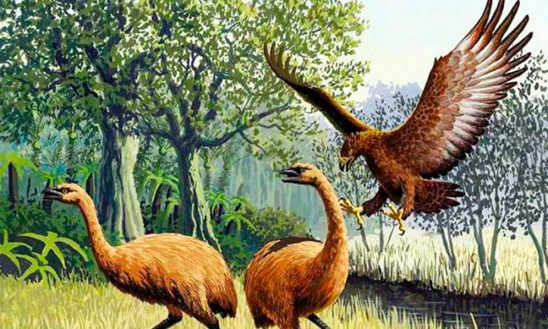 Animales de la prehistoria extintos y vivos | Cinco Noticias