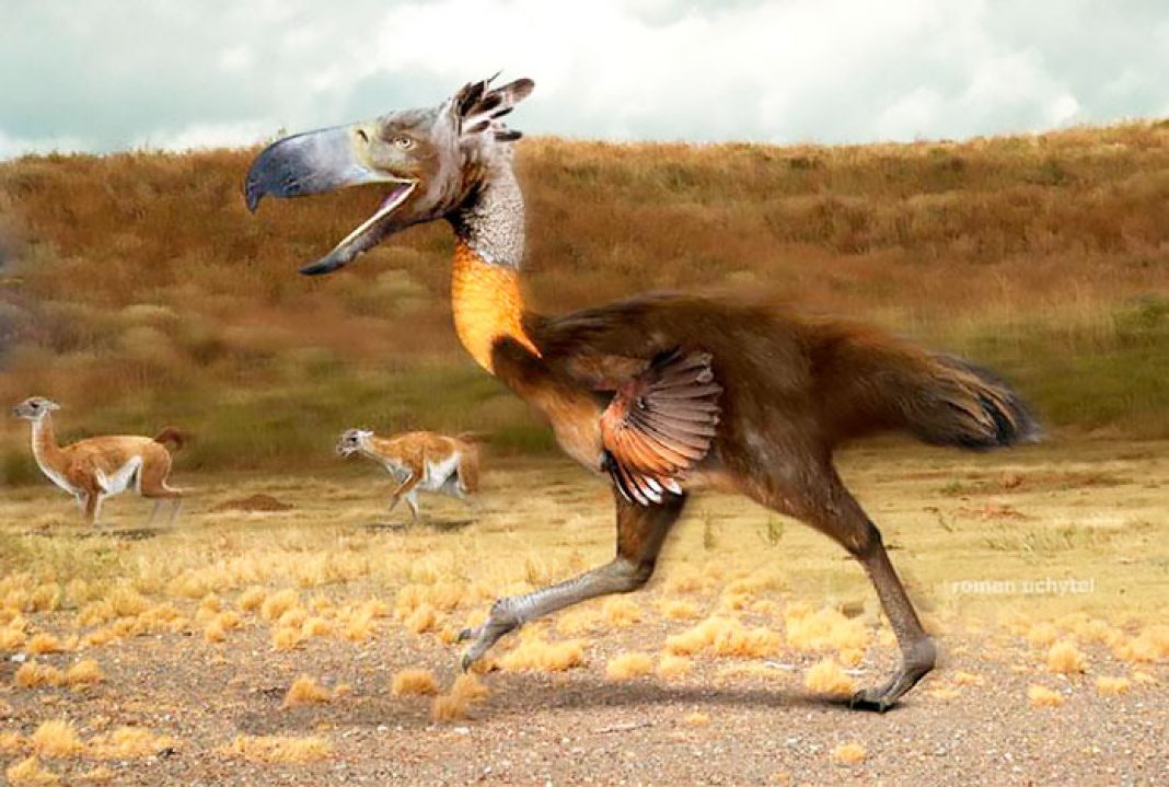 Animales de la prehistoria extintos y vivos | Cinco Noticias