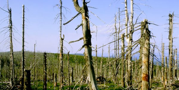 Estas son las consecuencias de la contaminación del aire | Cinco Noticias