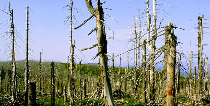Estas son las consecuencias de la contaminación del aire | Cinco Noticias
