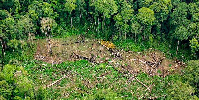 Estas son las consecuencias de la contaminación del aire | Cinco Noticias