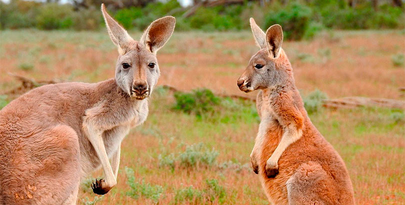 Estas son las consecuencias de la contaminación del aire | Cinco Noticias