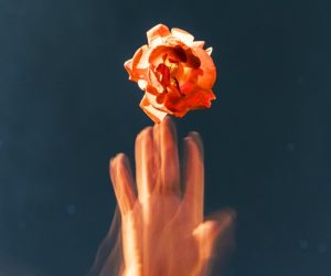 Percepción Táctil » Características, Estímulos y Ejemplos