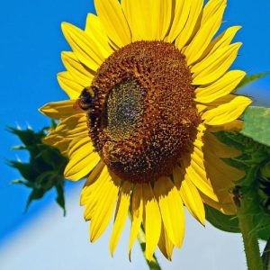 Principios de la Fotografía » 10 Nociones más Importantes