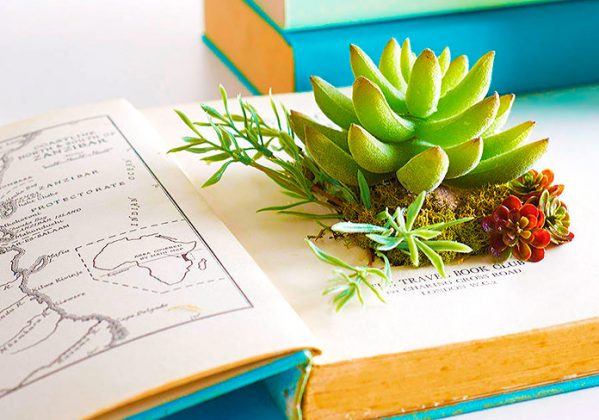 Hora de reciclar: 10 cosas que tienes y puedes reutilizar | Cinco Noticias