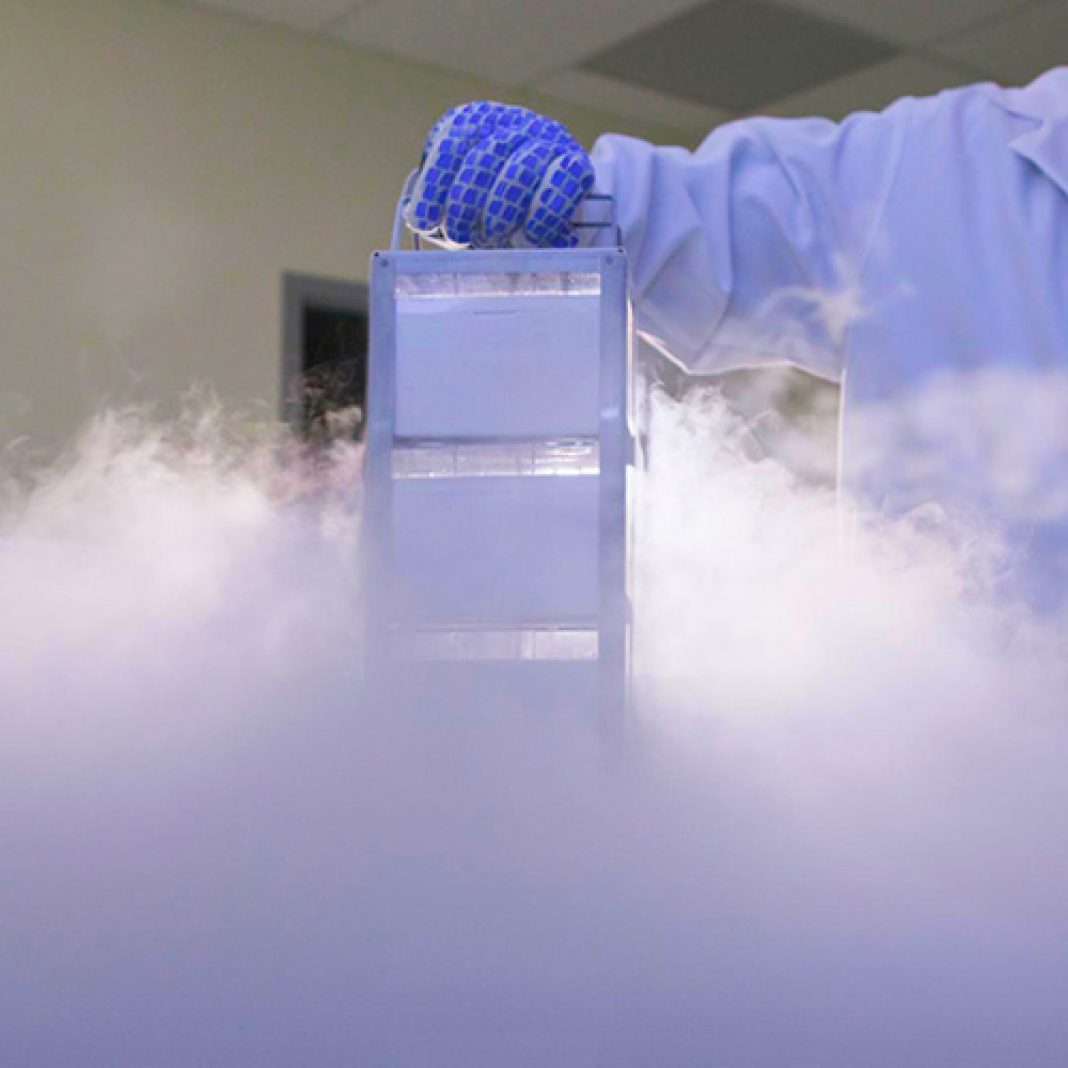 Criogenización: funcionamiento, garantías, curiosidades...