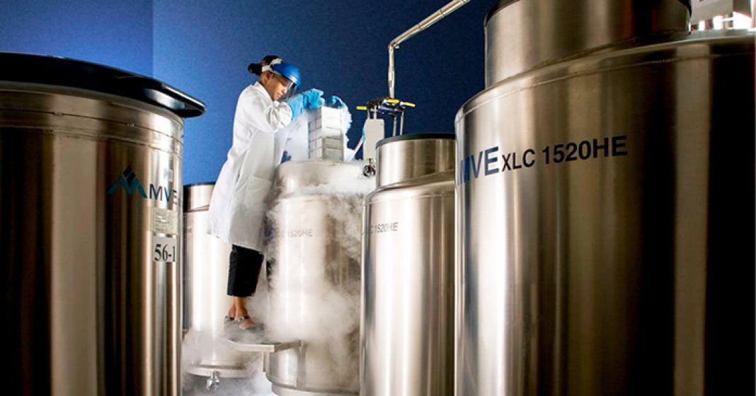 Criogenización: funcionamiento, garantías, curiosidades...