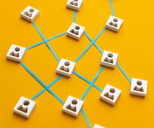 Tipos de Networking » Qué son, Características y Ejemplos