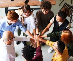 Tipos de Roles » Clasificación, Labores e Importancia