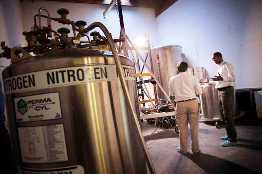 Criogenización: funcionamiento, garantías, curiosidades...